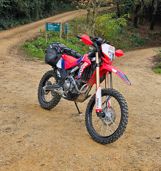 20251120_120103 – Trail Dreamer